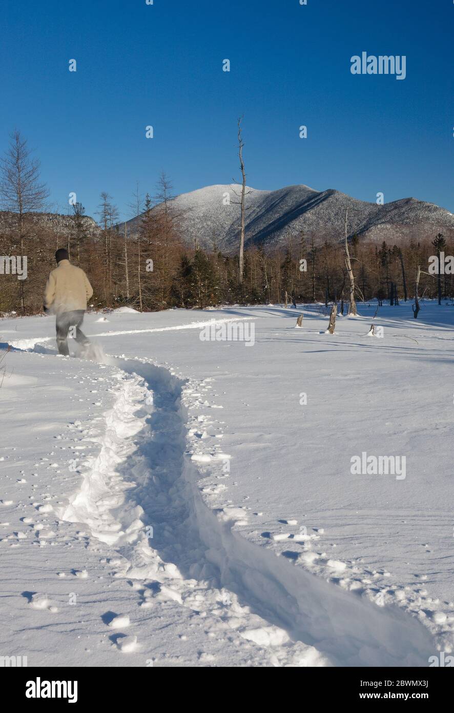 Mount Carrigain from the Meadow Brook drainage along the Sawyer River ...