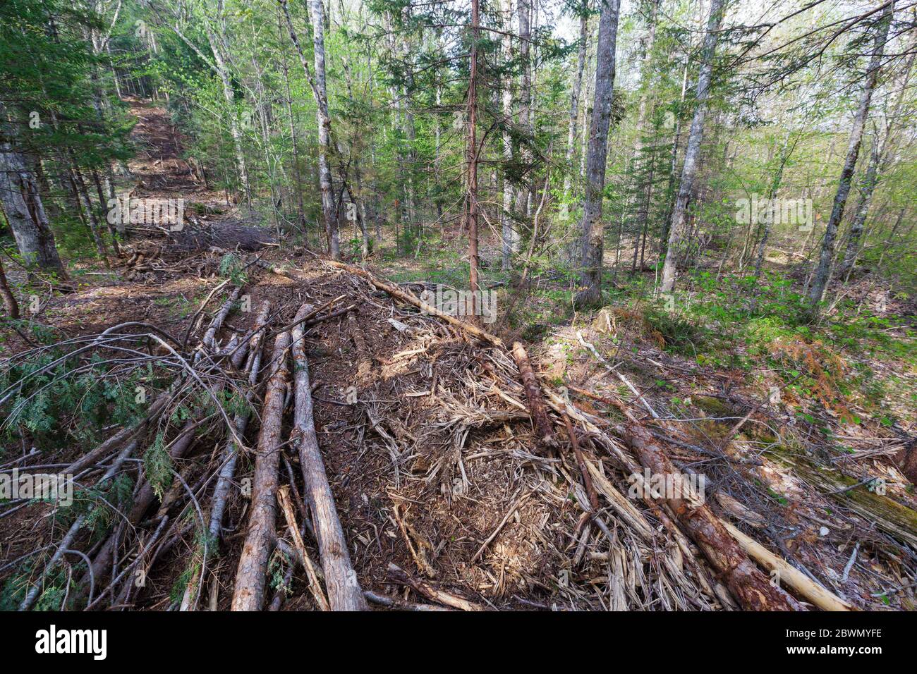 Kanc High Resolution Stock Photography and Images - Alamy