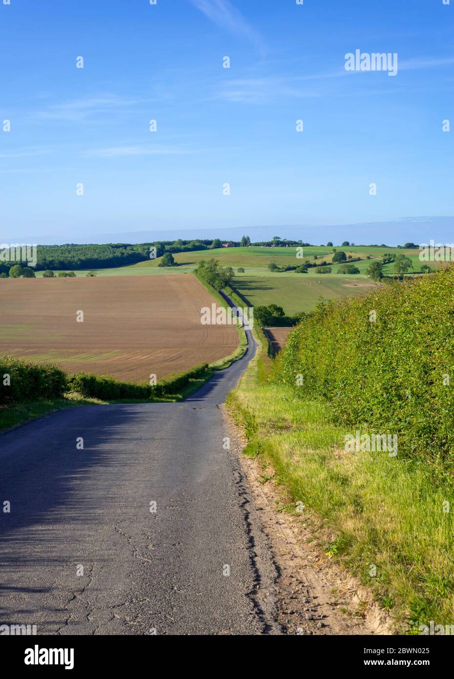 A country road curves into the distance between fields of newly planted ...