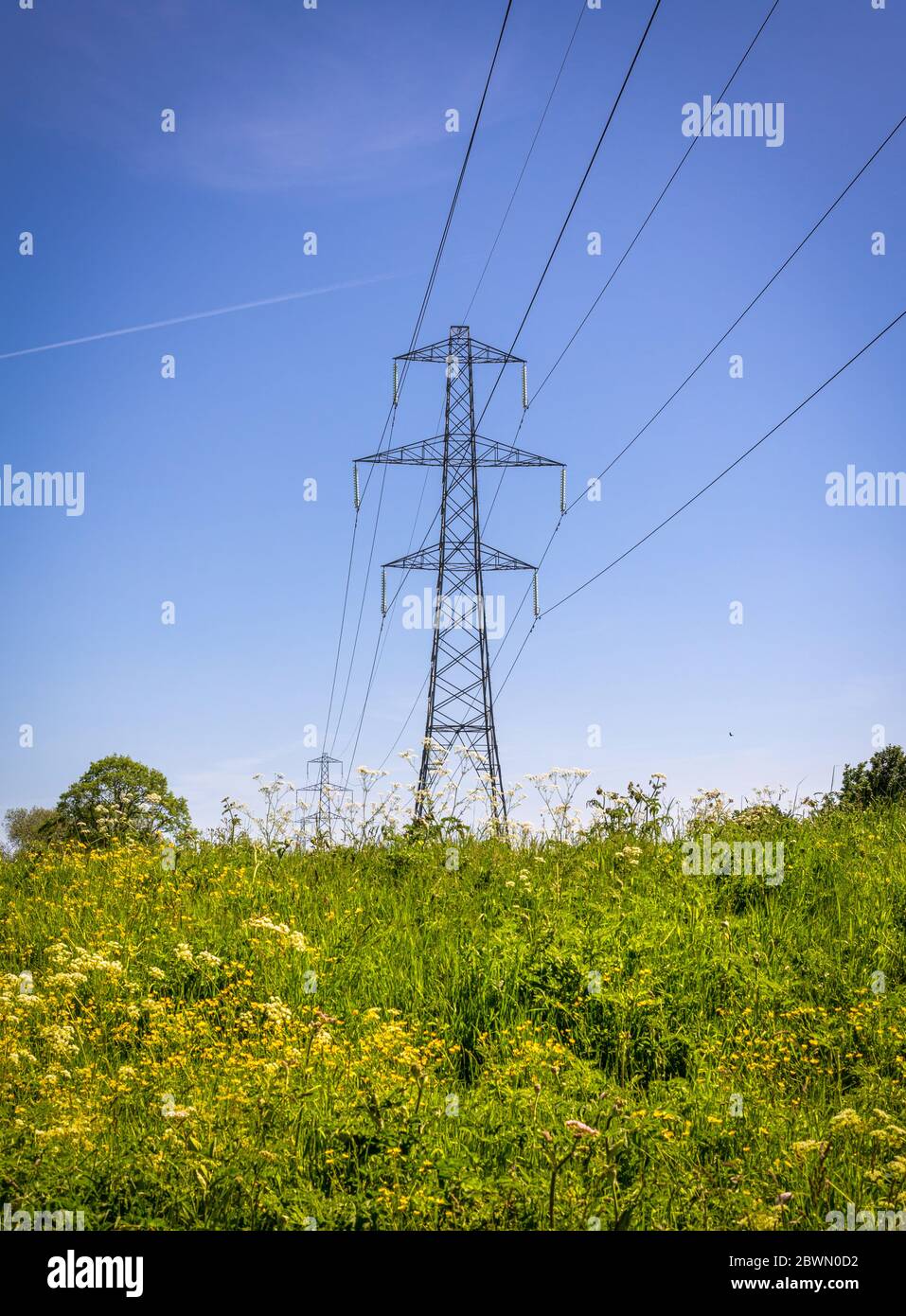 A tall metal pylon, carrying power cables, rises above a grass bank ...