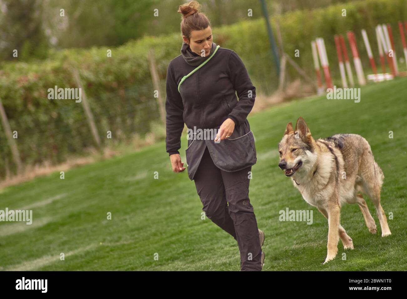 Wolf trainer hi-res stock photography and images - Alamy