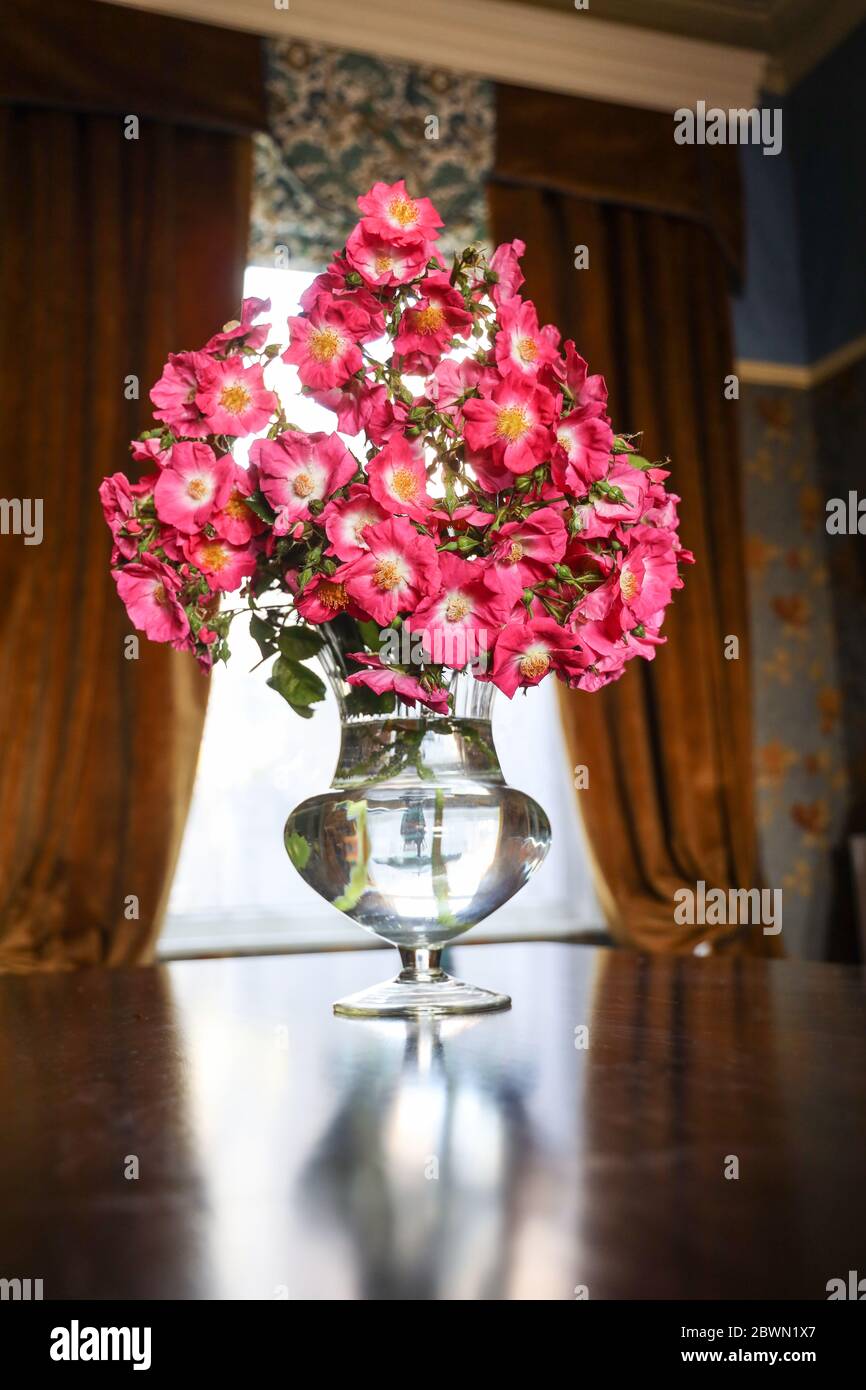 Rambling roses on a table top in a glass vase Stock Photo - Alamy