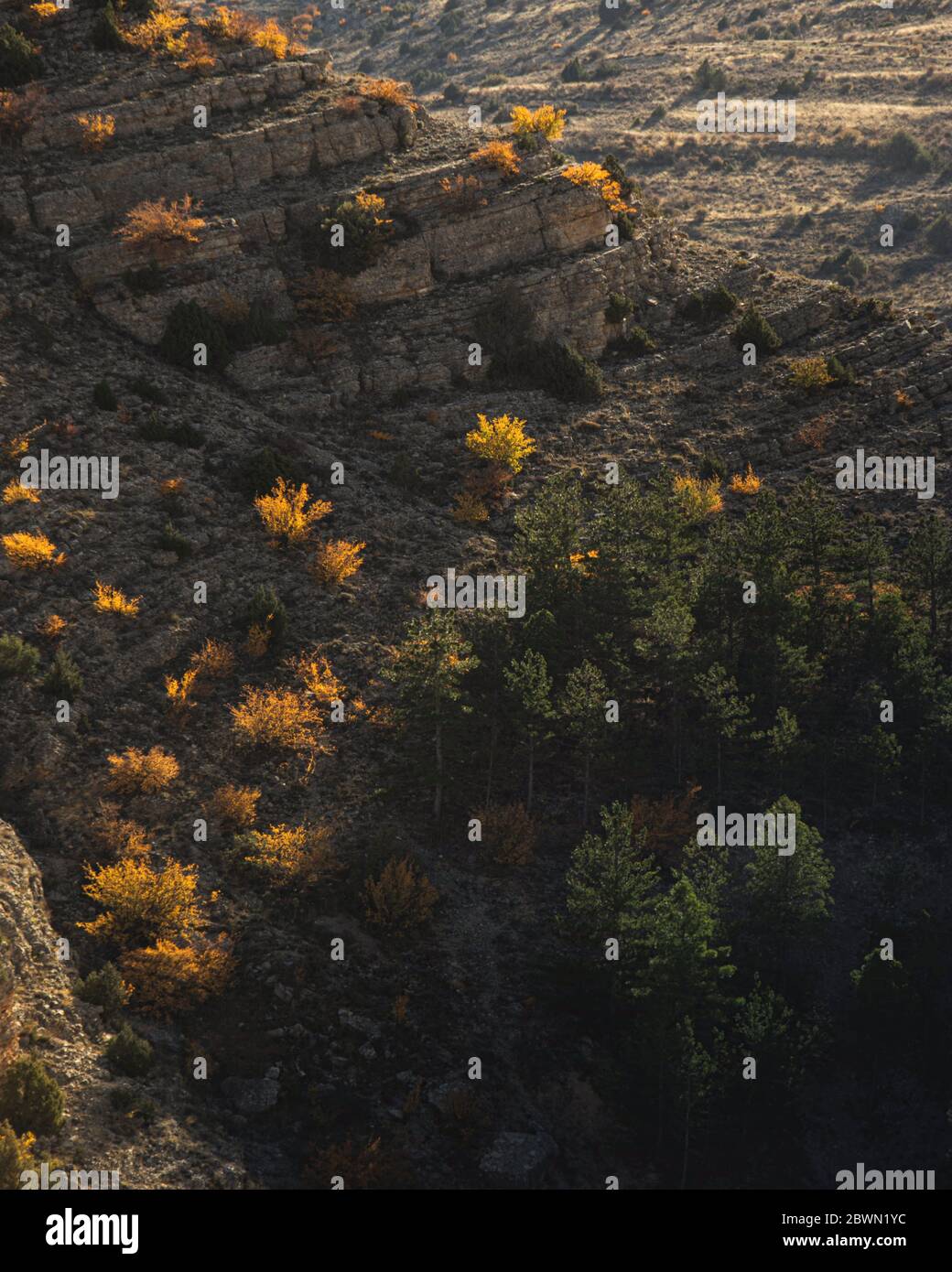 Mountain slope trees hi-res stock photography and images - Alamy