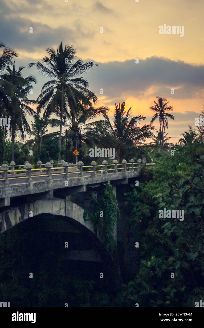 Tropical jungle ubud hi-res stock photography and images - Alamy