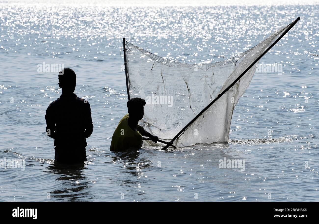 Fisherman fishing in the Brahmaputra river Stock Photo - Alamy