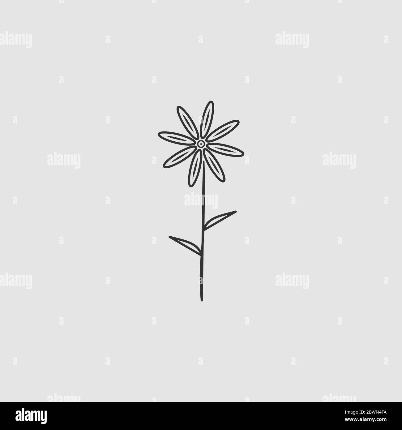 Daisy on flat Black and White Stock Photos & Images - Alamy