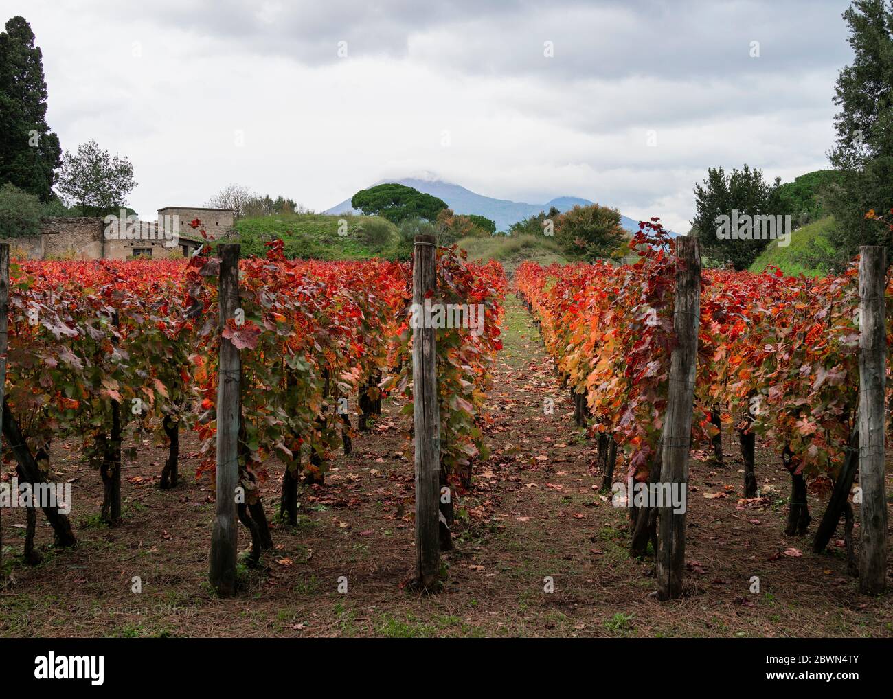 Mt vesuvious hi-res stock photography and images - Alamy