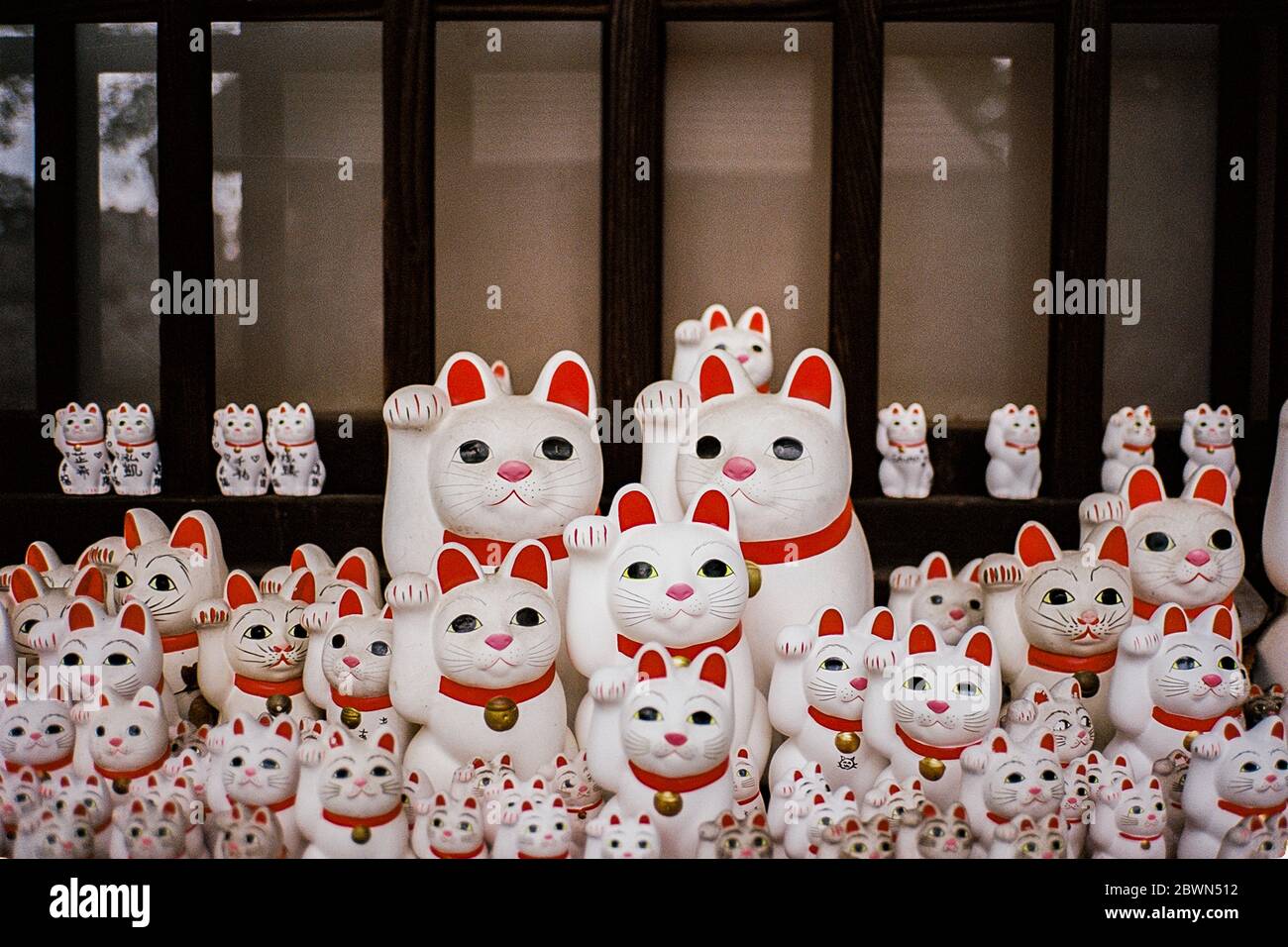 Lucky Cats Bring Good Luck Stock Photo - Alamy Lucky Cats Bring Good Luck Stock Photo - Alamy