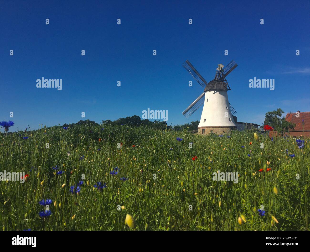 Landscape summer windmill hi-res stock photography and images - Alamy