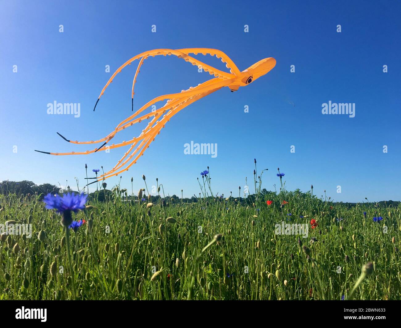 Yellow kite in sky hi-res stock photography and images - Alamy