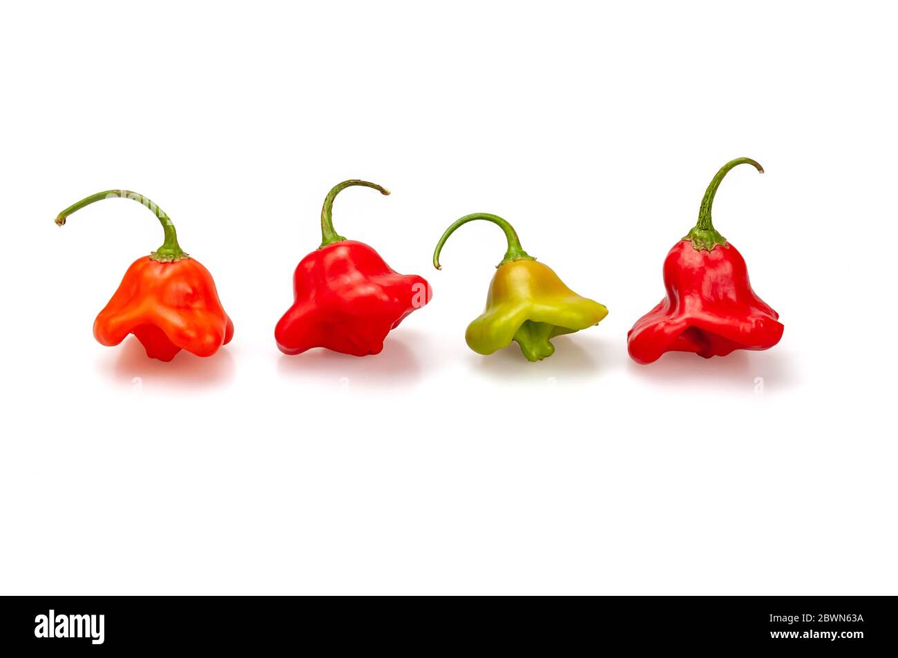 Four bell peppers on a white background Stock Photo - Alamy