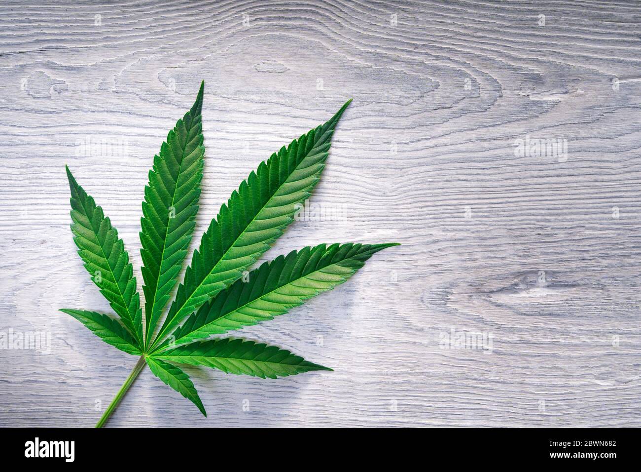 Cannabis leaves on old hi-res stock photography and images - Alamy