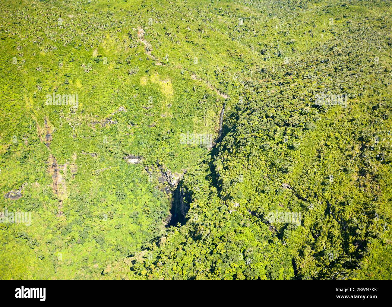 Aerial view of Black River Gorge National Park with waterfall ...