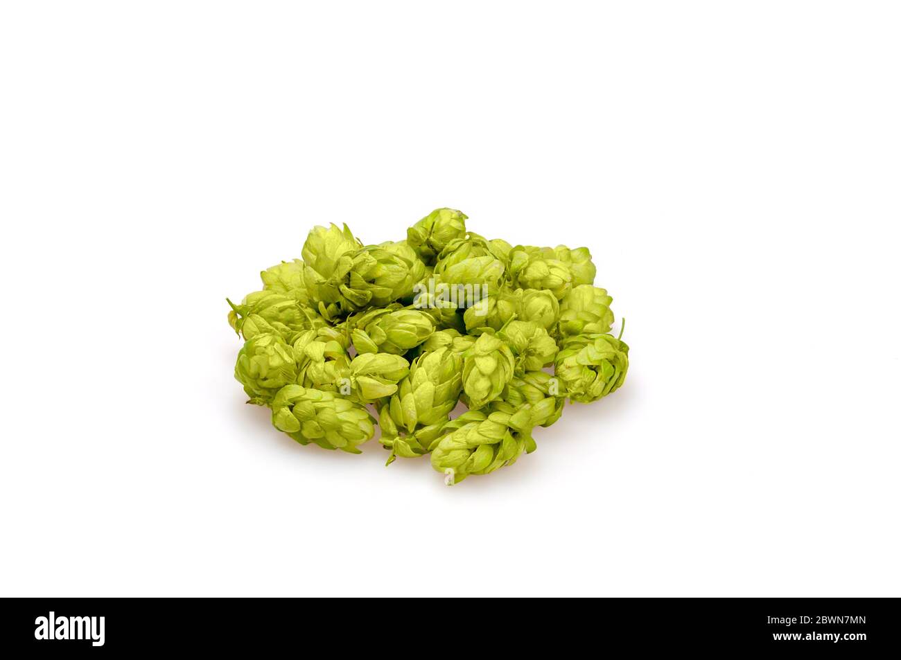 Circle of cones Cut Out Stock Images & Pictures - Alamy