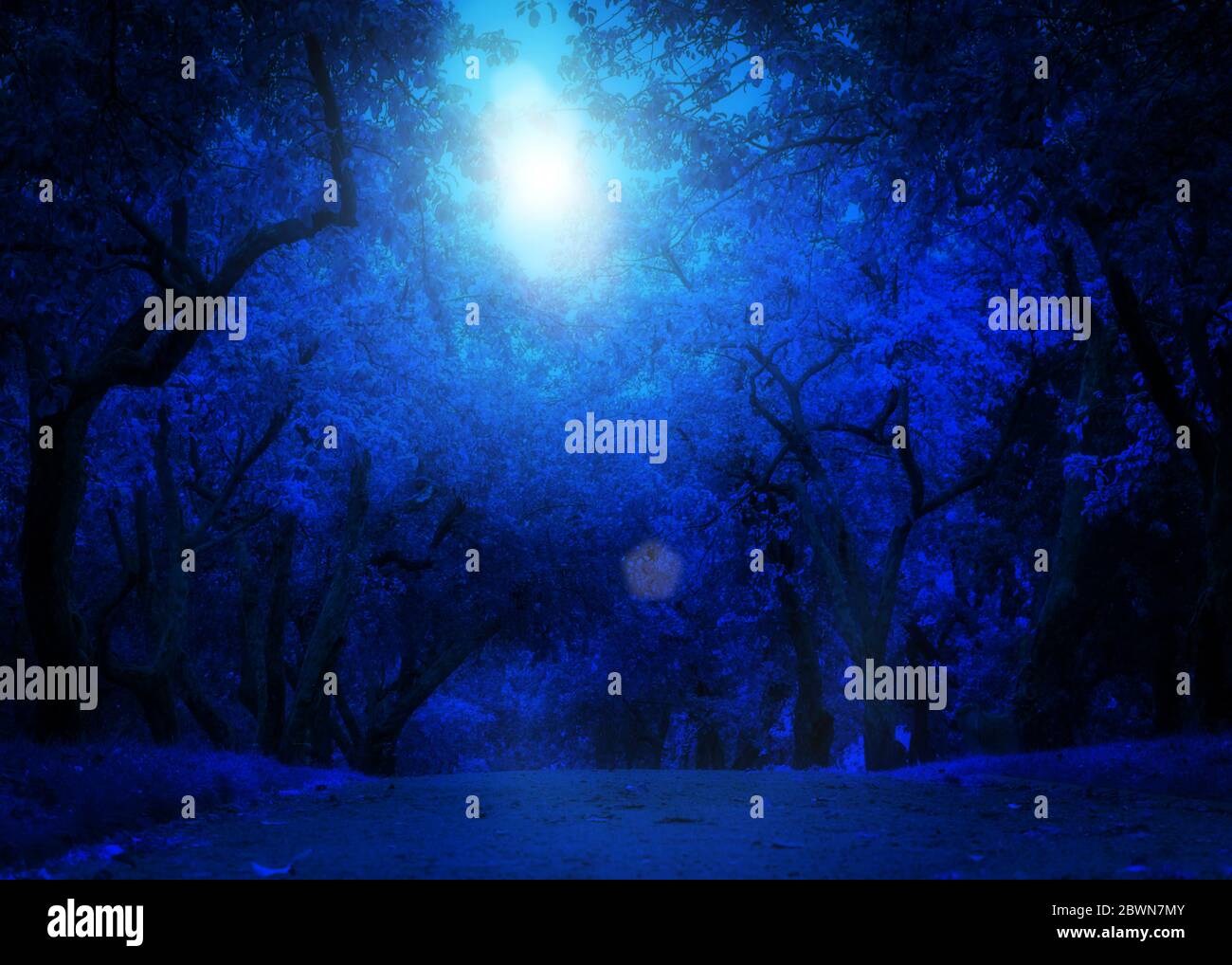 Abstract blue apple trees in the night park background Stock Photo - Alamy