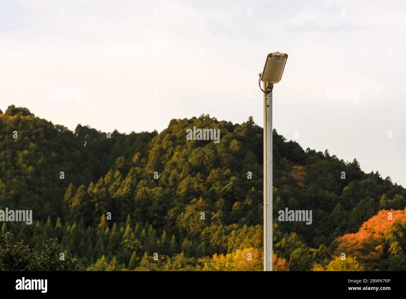 One street lighting stands upright with a view of a green hill Stock ...