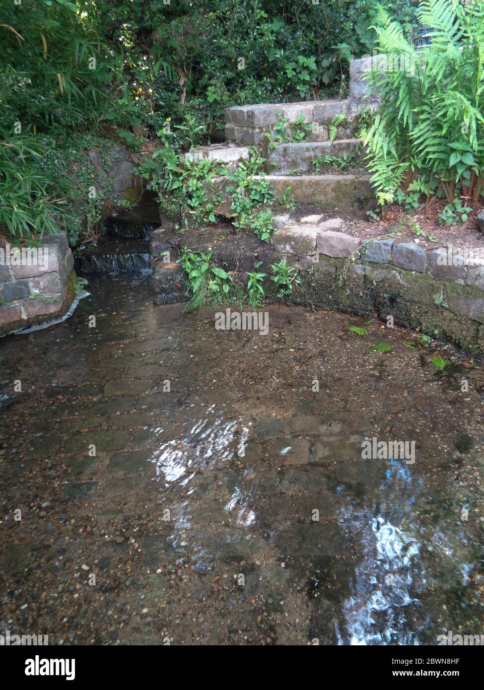 Keston greater london hi-res stock photography and images - Alamy