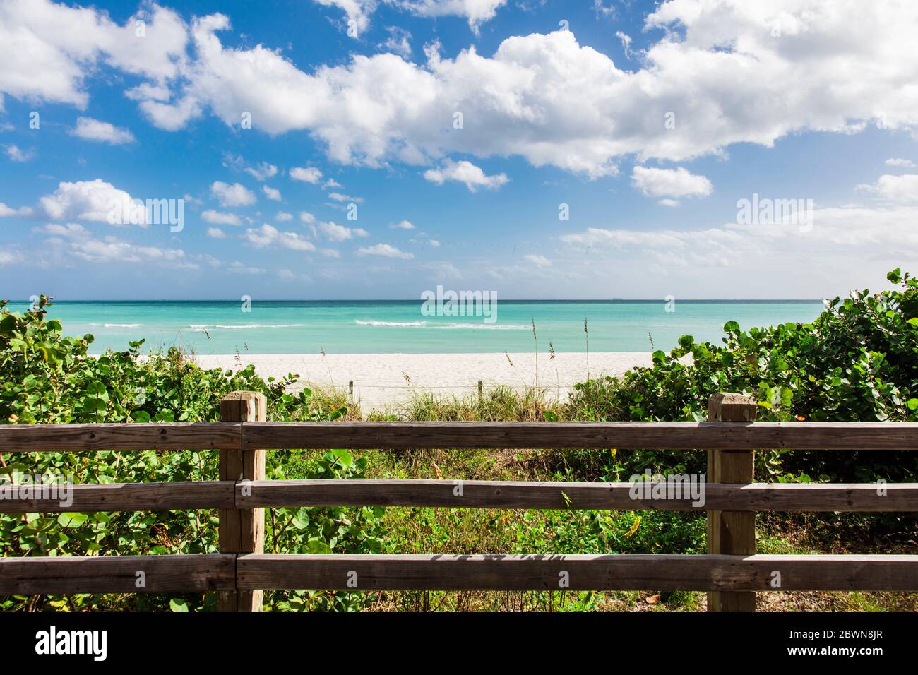 Miami beach spring break hi-res stock photography and images - Alamy