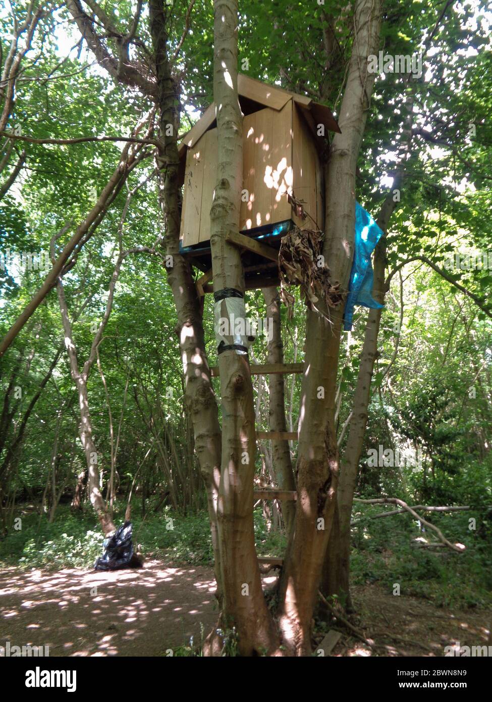 Tree-House built in surrey woodland near Croydon Stock Photo - Alamy