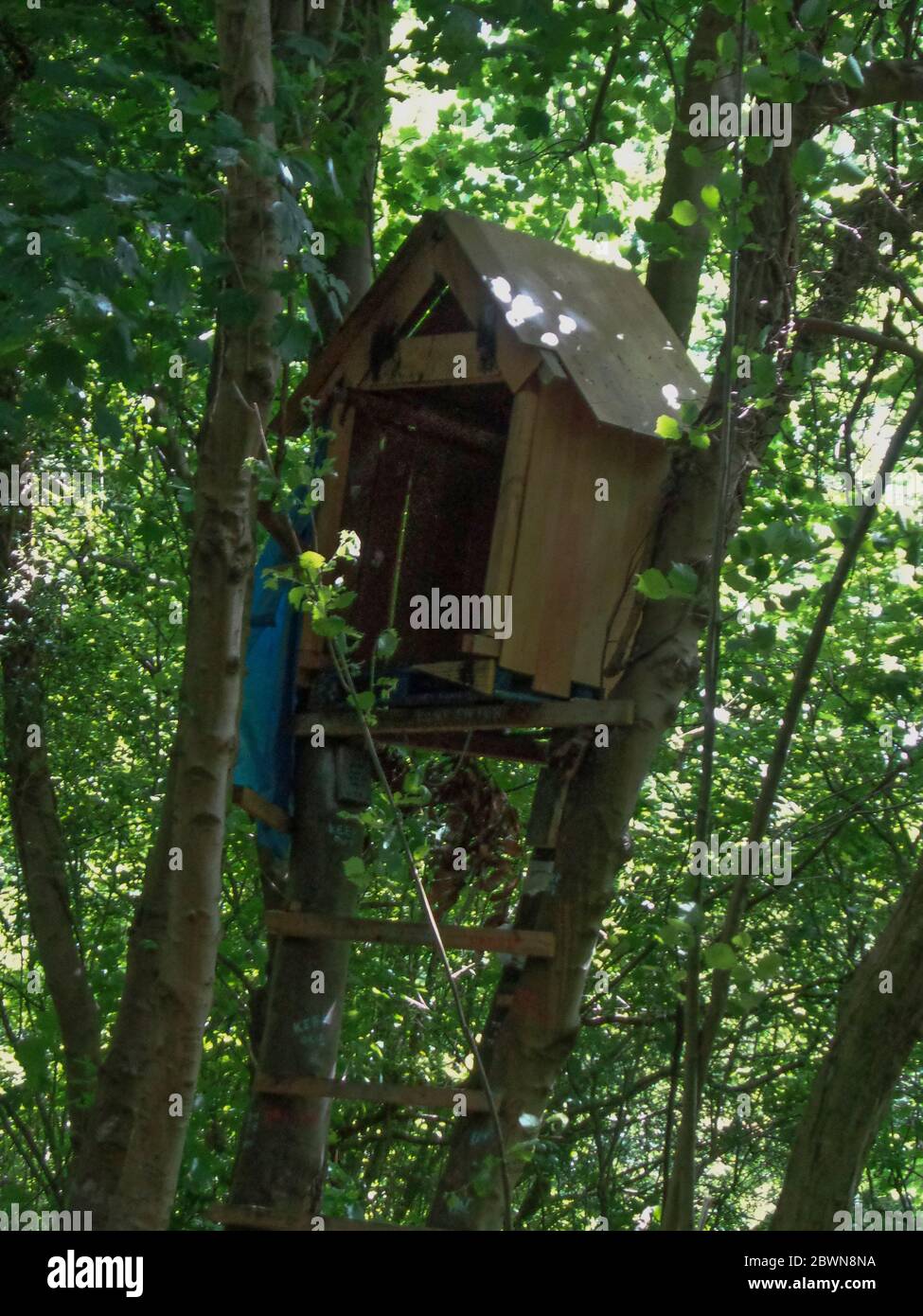 Tree-House built in surrey woodland near Croydon Stock Photo - Alamy