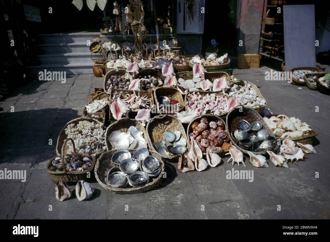 Seashells on display in a shop in Porto Venere on the Ligurian coast ...