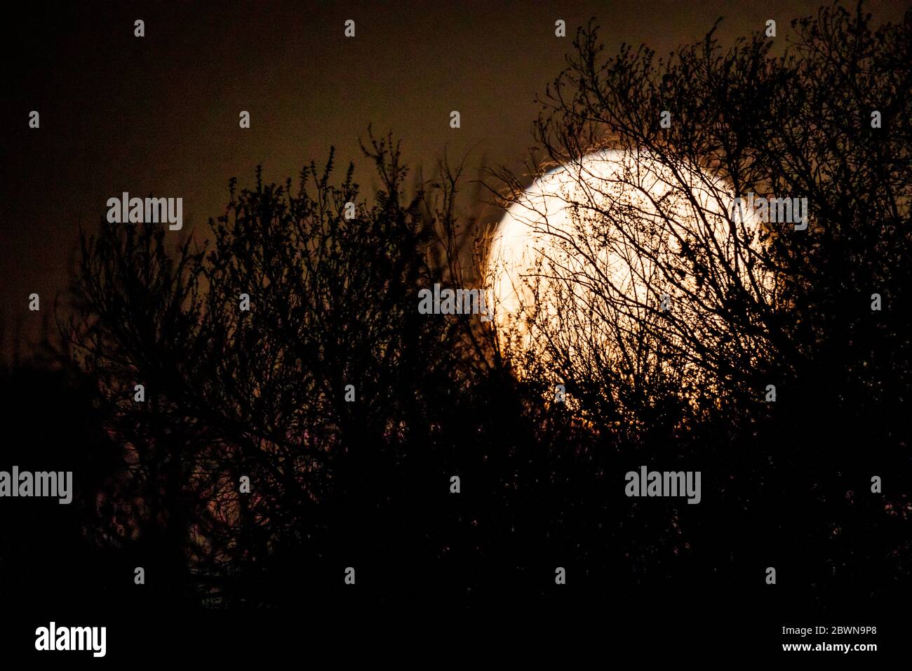 Full Pink Super Moon rising over Rocky Mountains, Salida, Colorado, USA ...