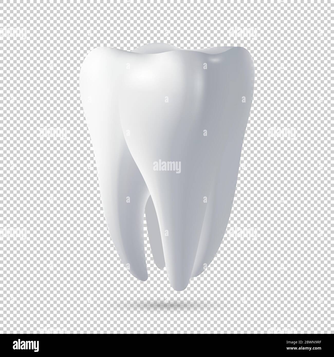 Realistic vector human tooth icon. Design template Stock Vector Image ...