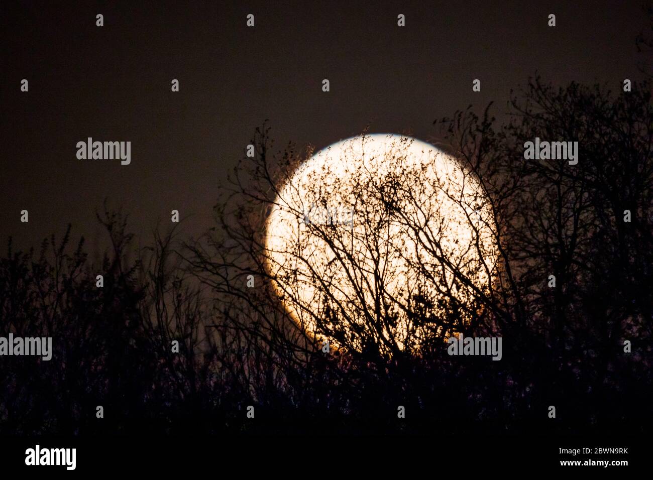 Full Pink Super Moon rising over Rocky Mountains, Salida, Colorado, USA ...