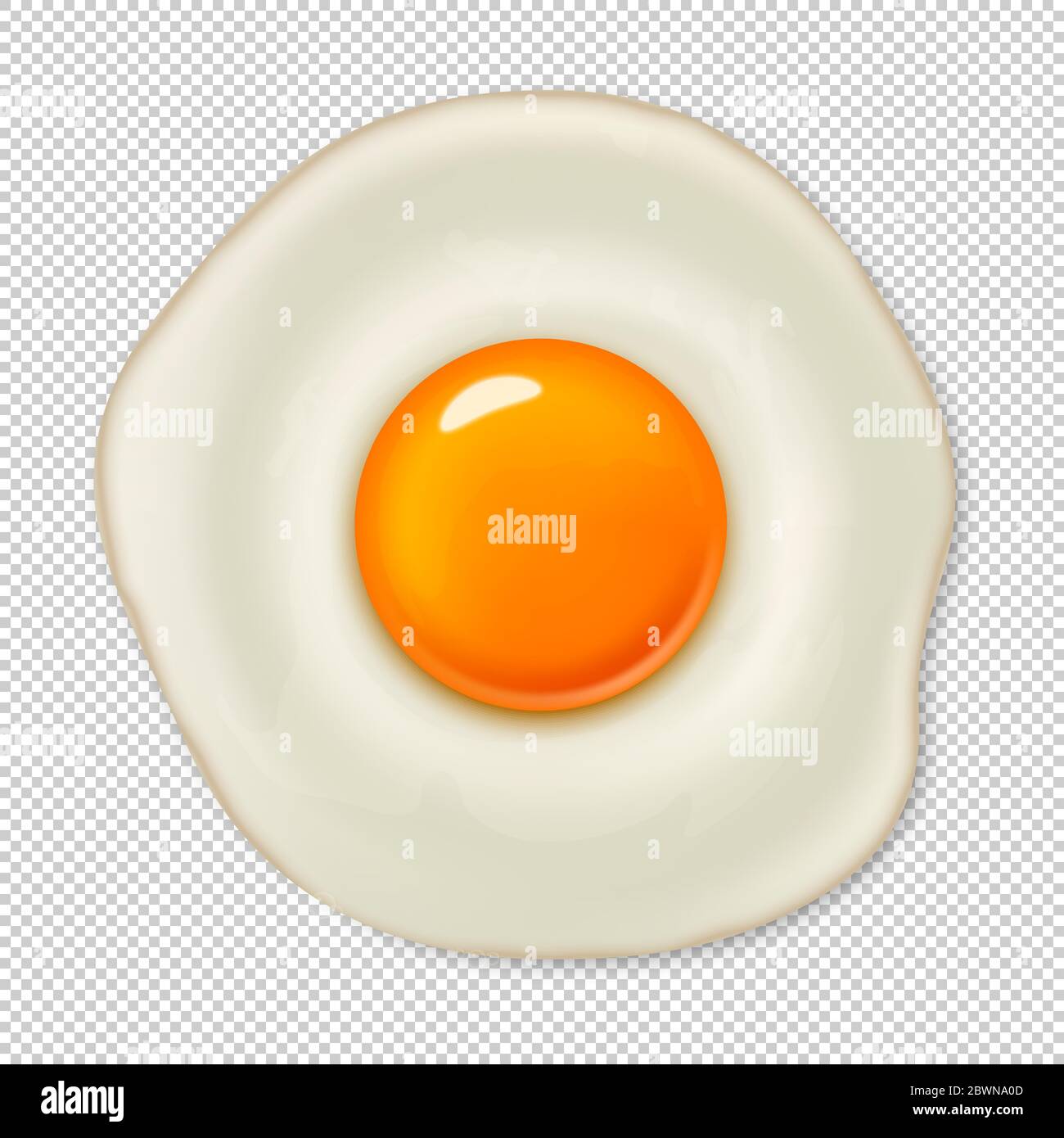 Realistic vector fried egg icon isolated on transparent background ...