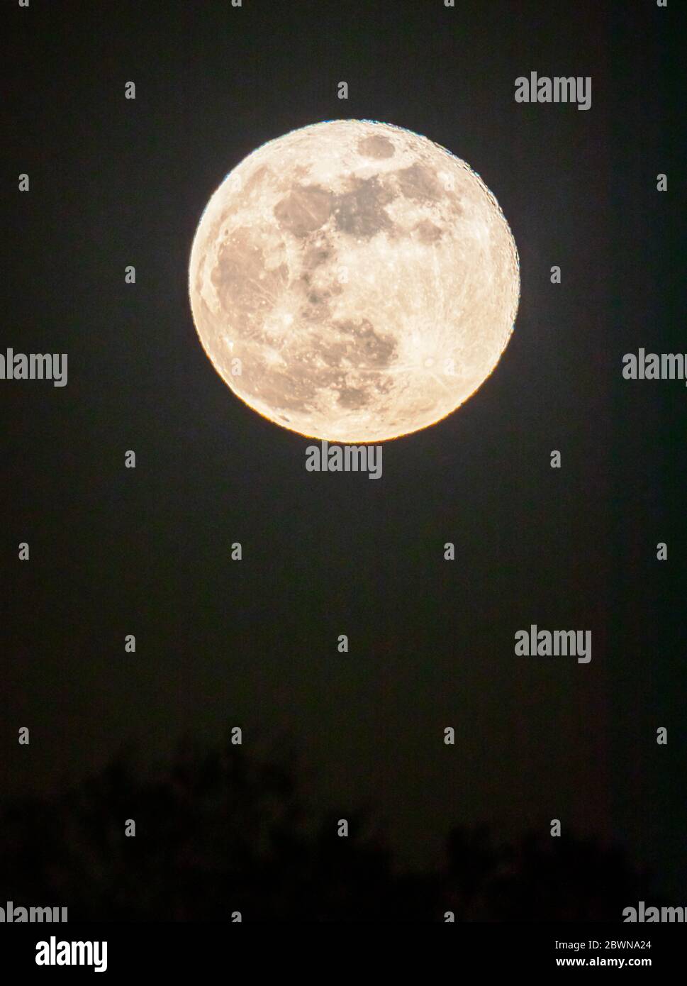 Full Pink Super Moon rising over Rocky Mountains, Salida, Colorado, USA ...