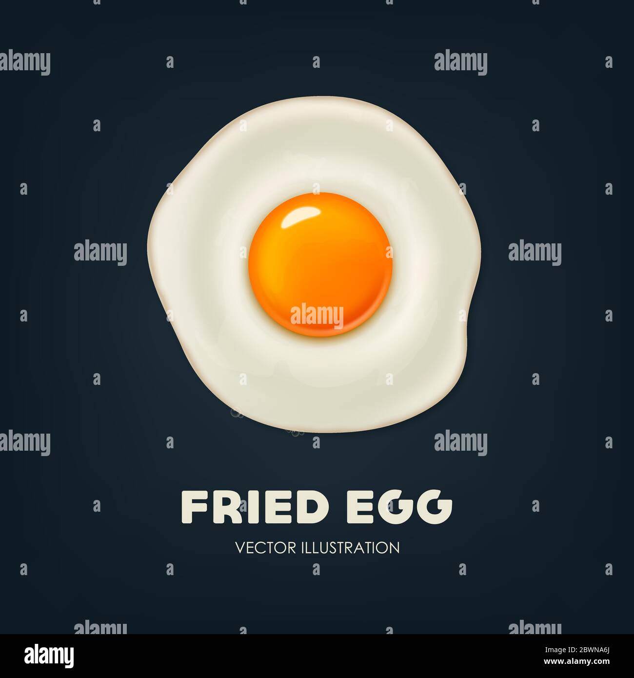 Vector background with beautiful realistic fried egg Stock Vector Image ...