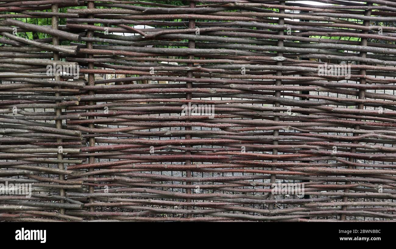 Fence made of vine, texture, background. Wicker grape fence. structures ...