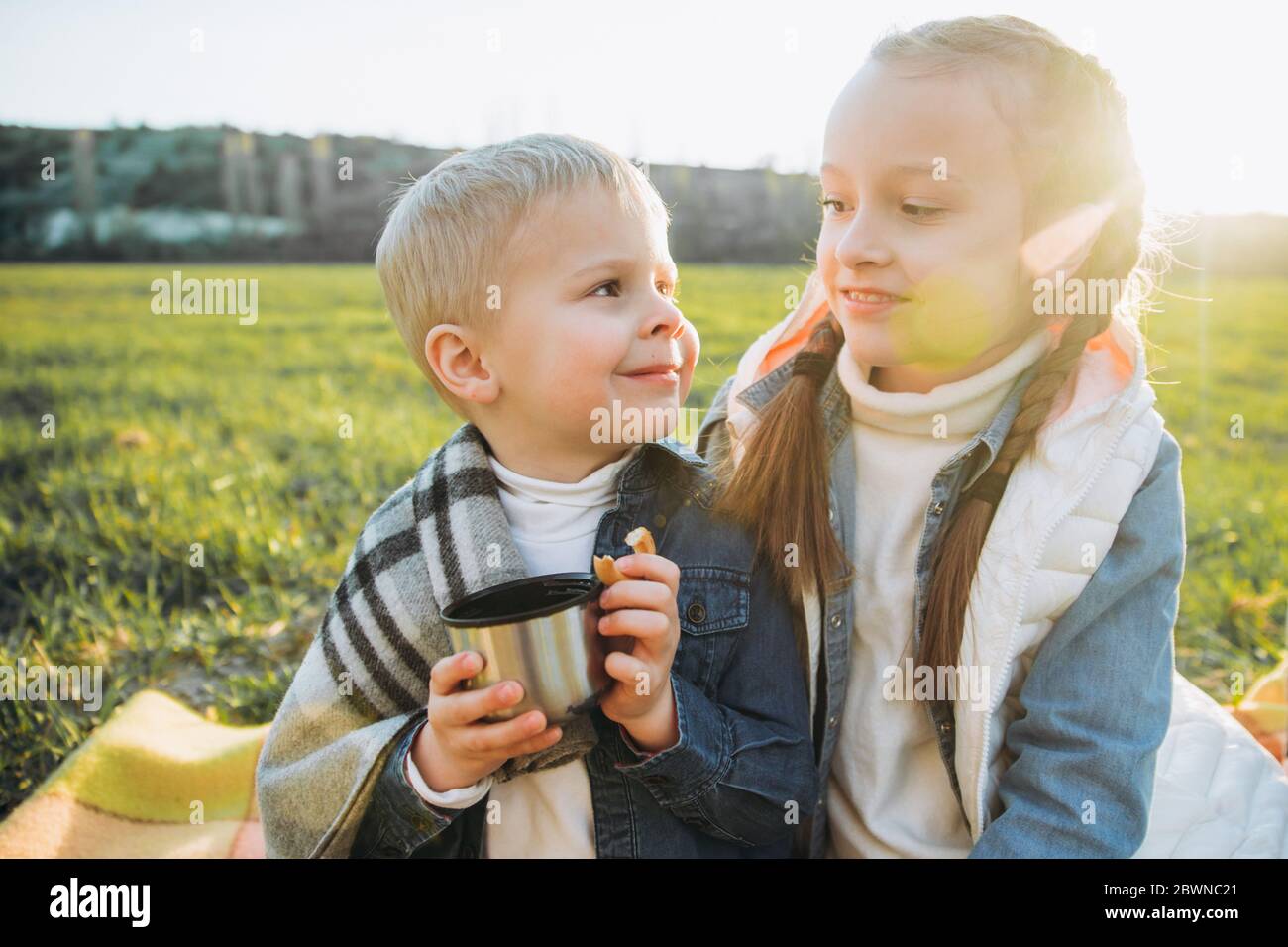 The relationship of brother and sister. Disputes and conflicts in ...