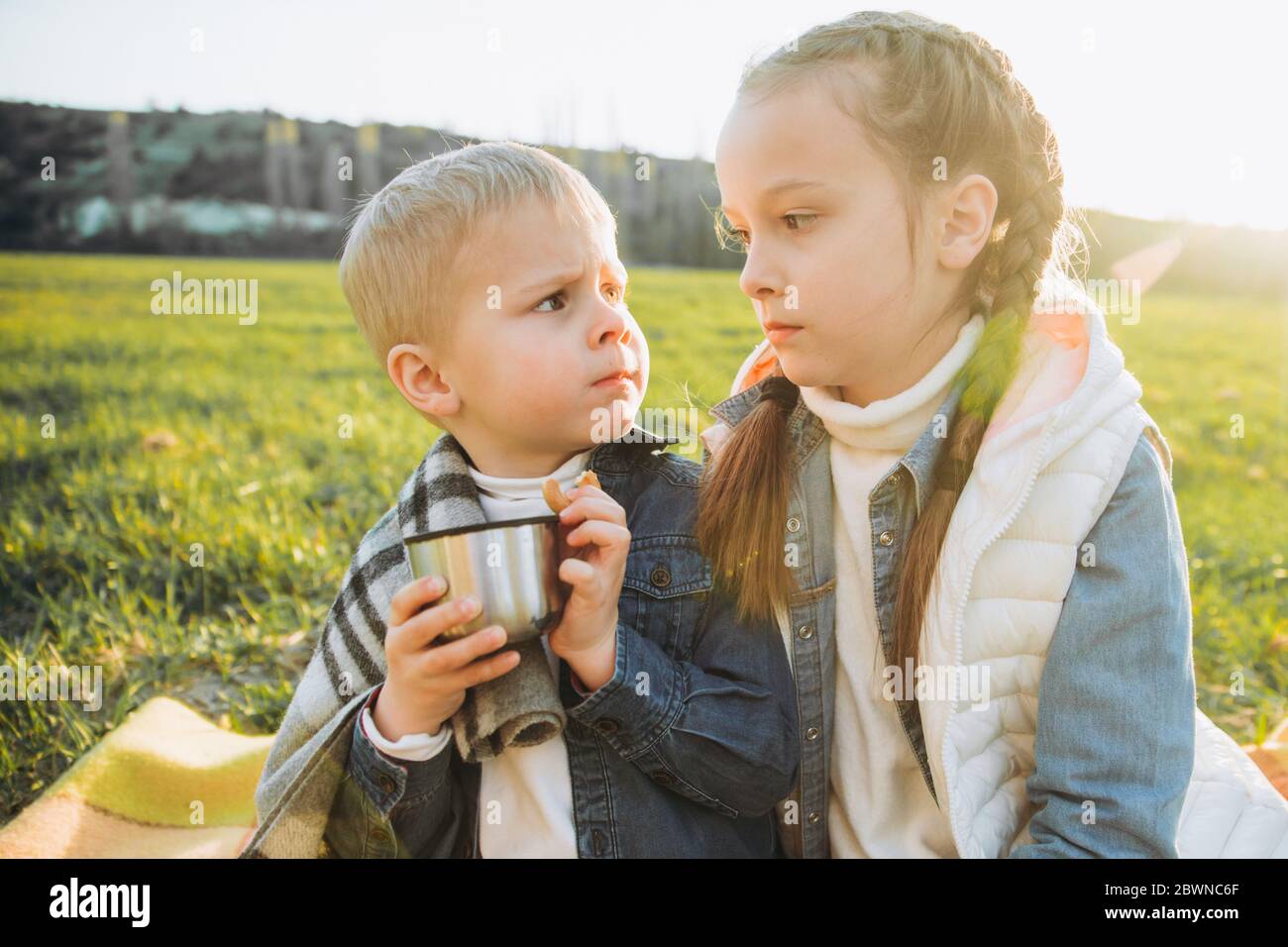 The relationship of brother and sister. Disputes and conflicts in ...