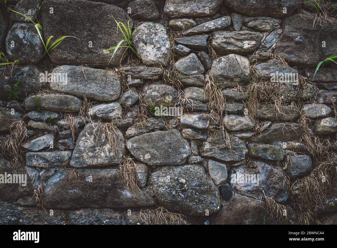 Old natural stone wall with green and dry vegetation growing among the ...