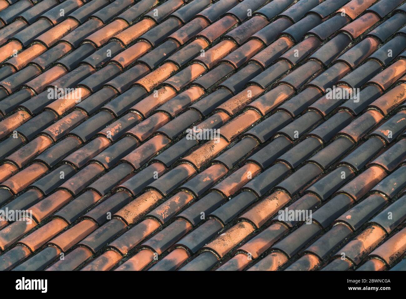 Curved terracotta roof tiles hi-res stock photography and images - Alamy