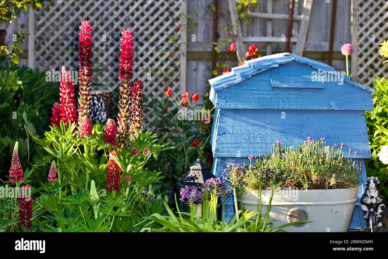 Beehive cottage hi-res stock photography and images - Alamy