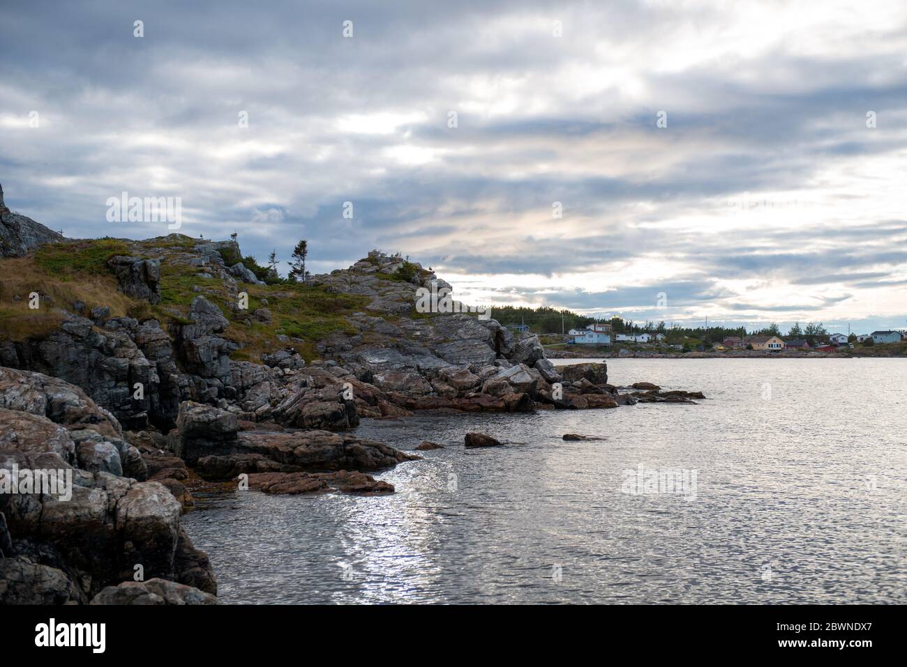 The calm shoreline of a rocky ocean coastline with jagged rocks, trees ...