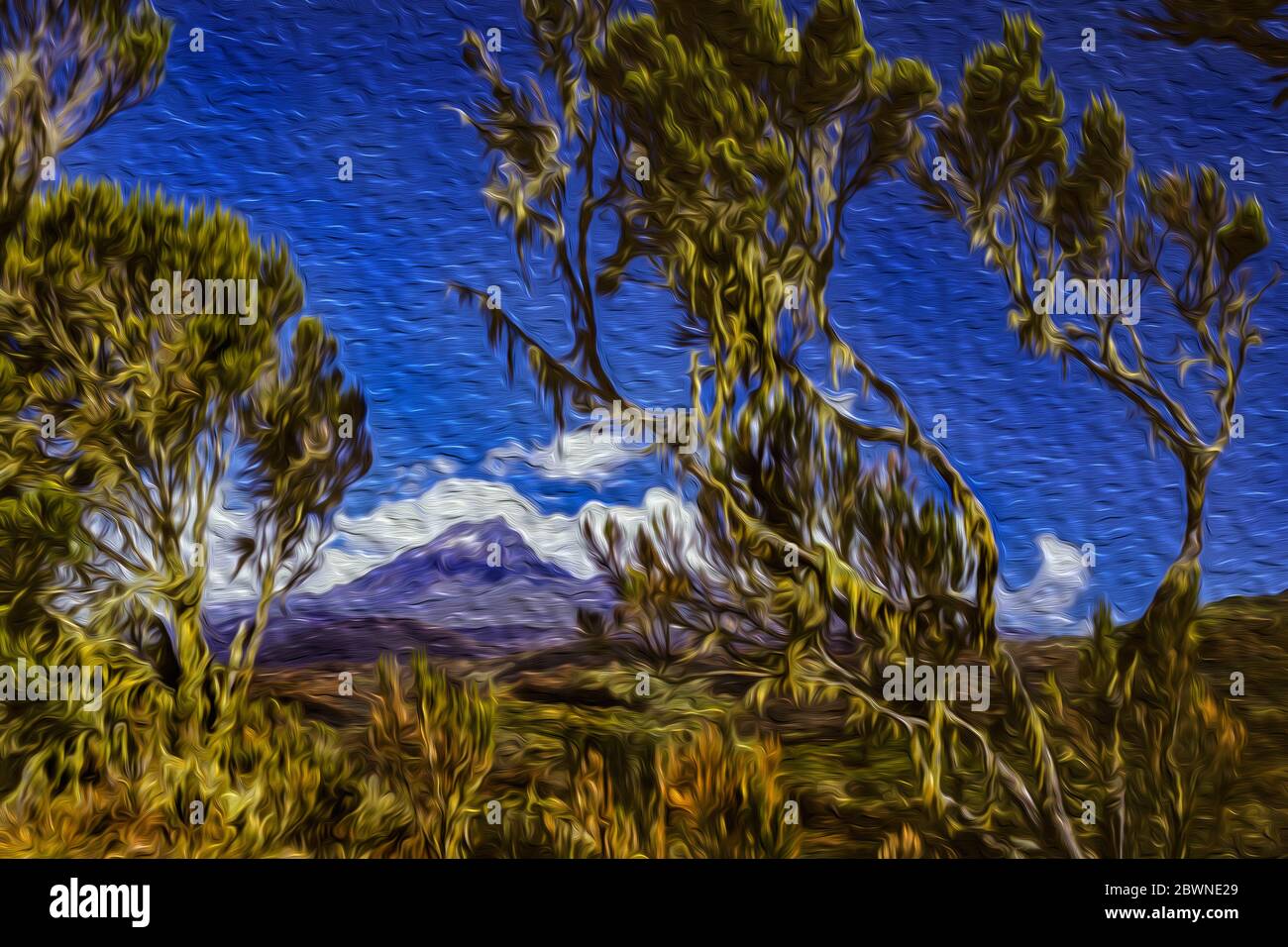 Secondary cone hi-res stock photography and images - Alamy