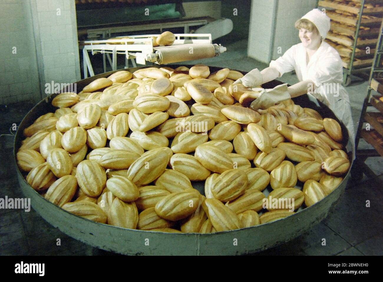 White bread baking at the Riga bakery Stock Photo - Alamy