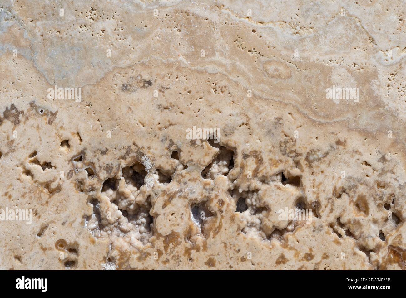 slab of natural travertine which is a form of limestone deposited by ...