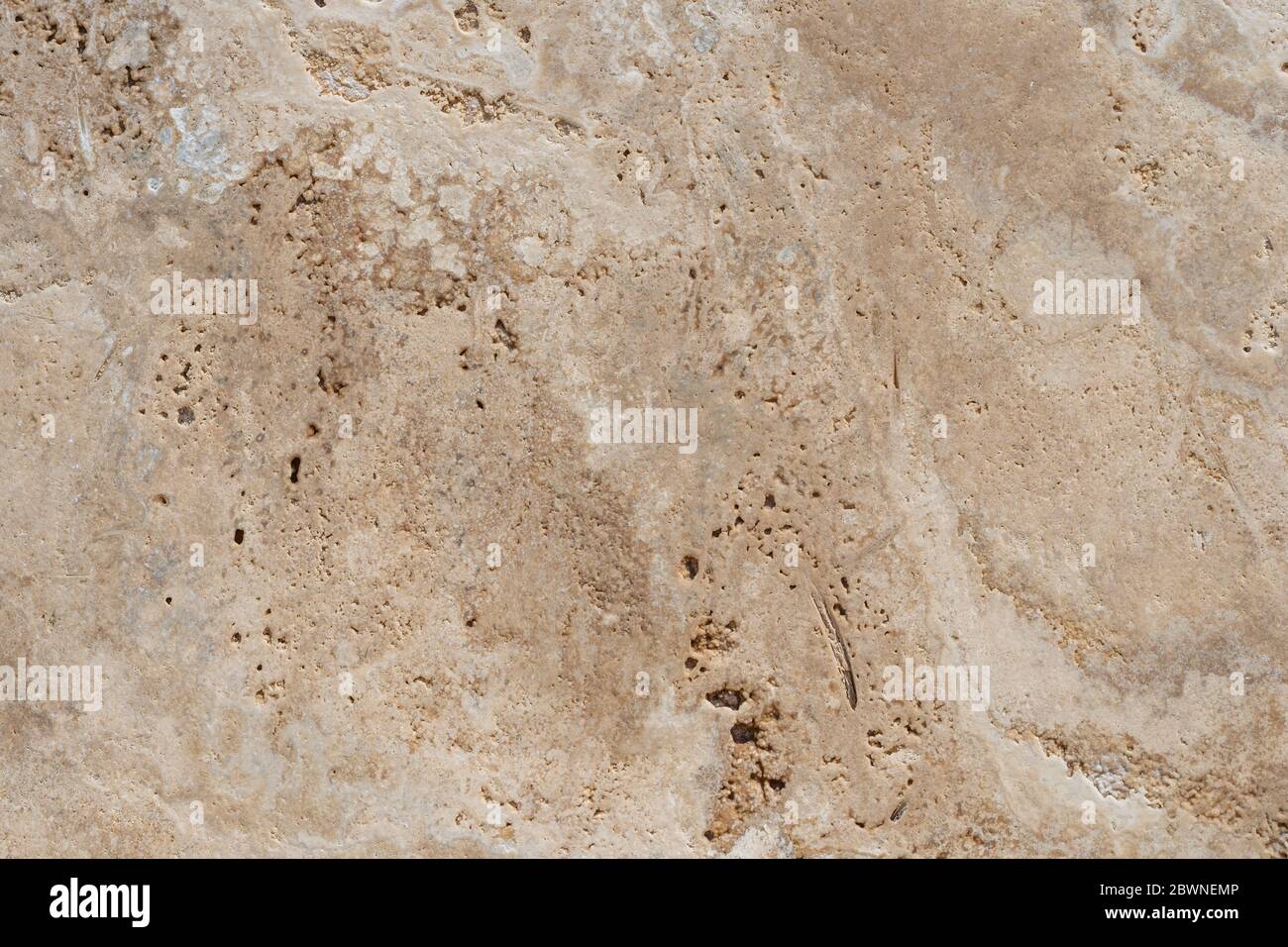 slab of natural travertine which is a form of limestone deposited by ...