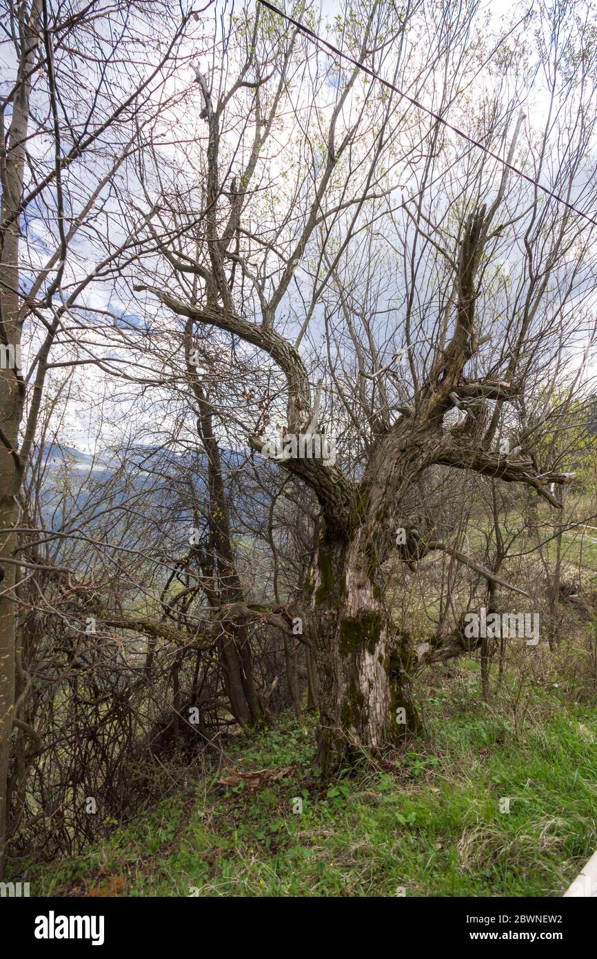 Landscape of Iskar Gorge from village of Zasele, Balkan Mountains ...