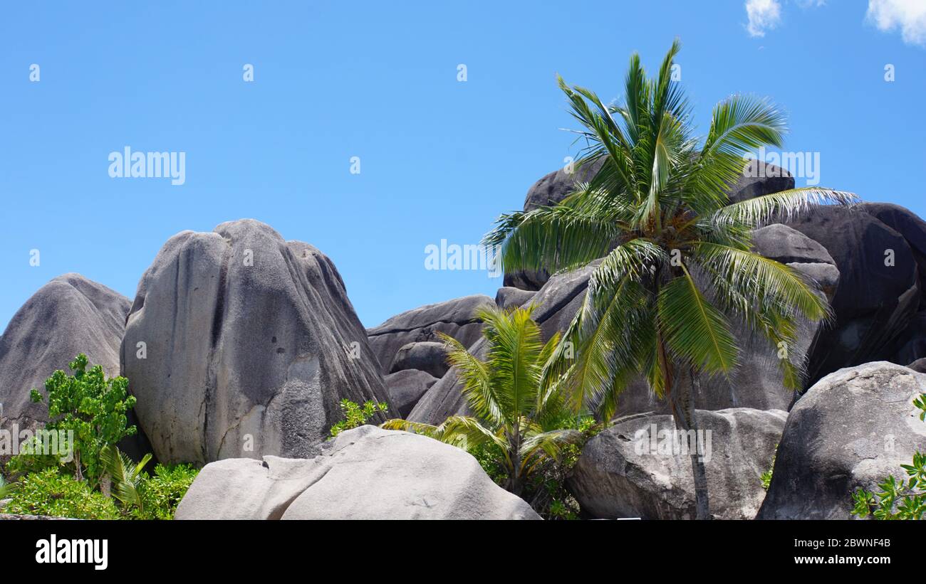 amazing tropical landscape on the seychelles islands Stock Photo - Alamy