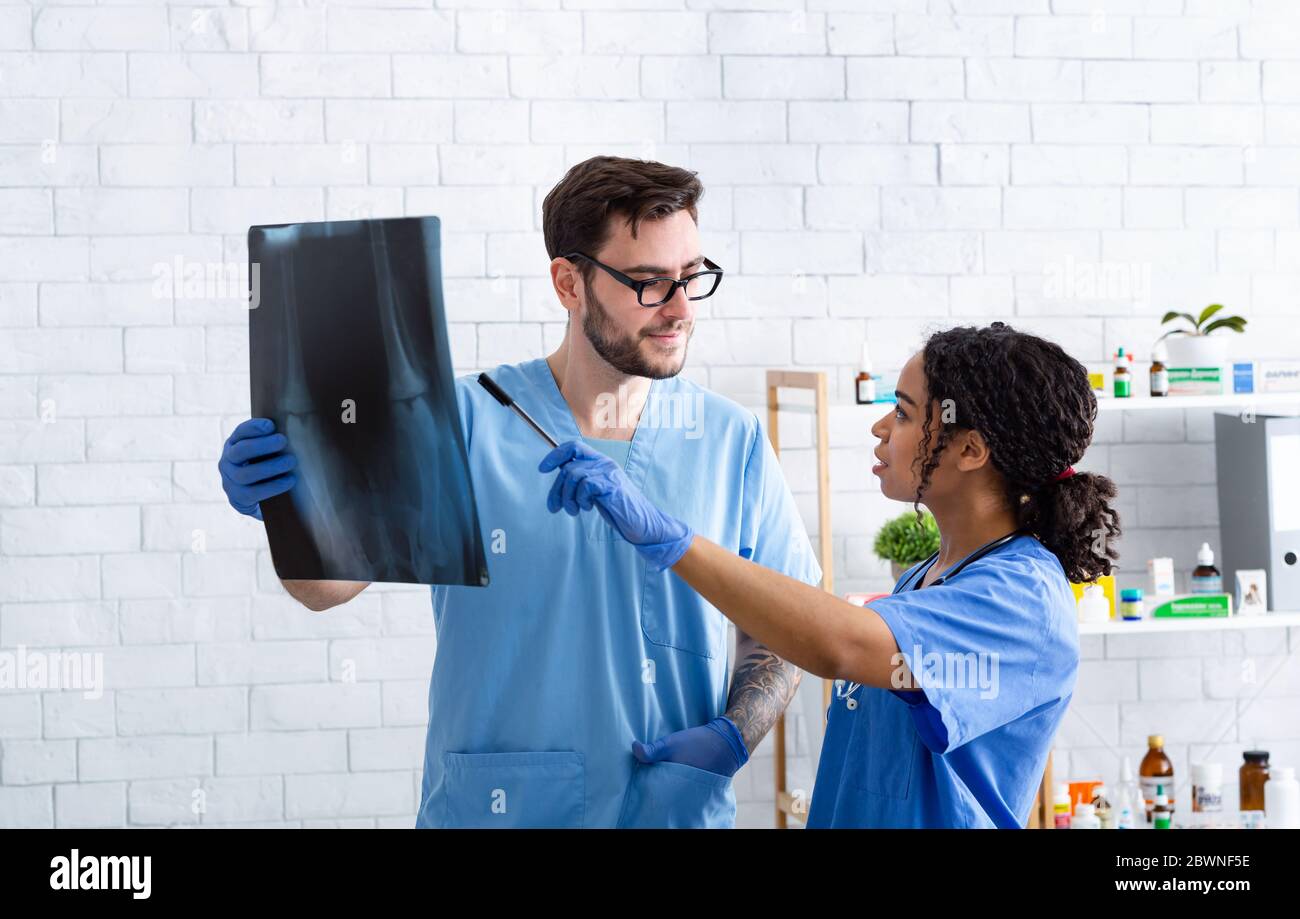 Veterinary radiology concept. Vet doc with assistant studying animal xray in clinic Stock Photo ...