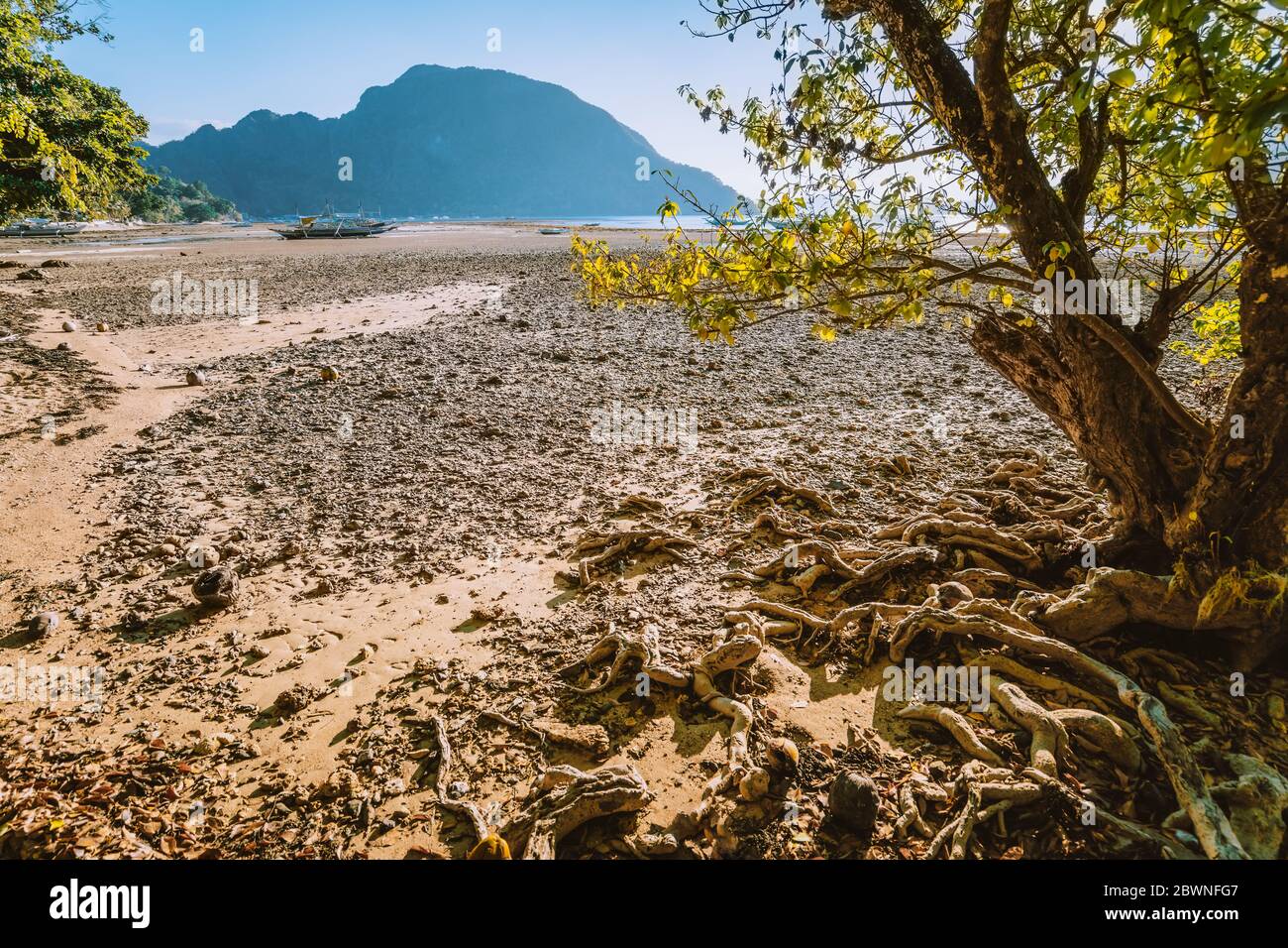 Sunset scenery of El Nido shore during low tide. Palawan, Philippines ...