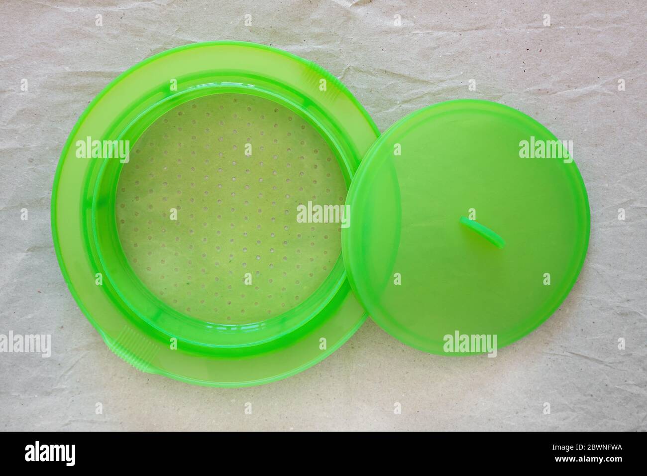 Green silicone insert for healty steam cooking, with cover, on grey ...