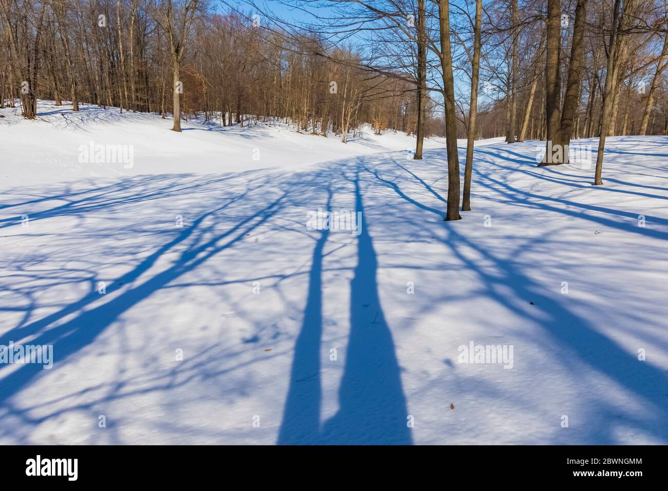 Mount pleasant golf course hi-res stock photography and images - Alamy