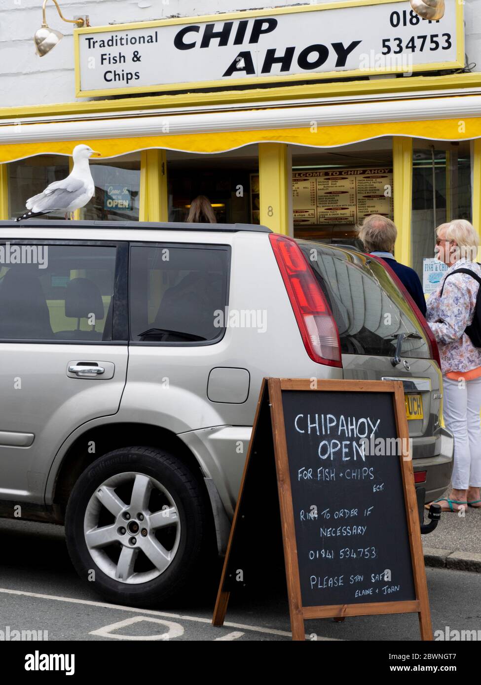 Seagull standing on a car roof outside a chip shop waiting for a ...