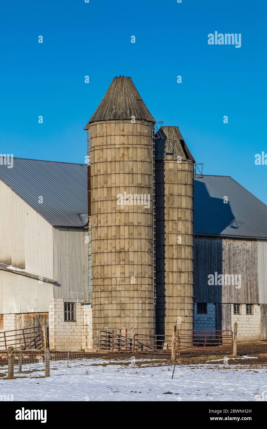 Silos at a farm in central Michigan, USA [No property release ...